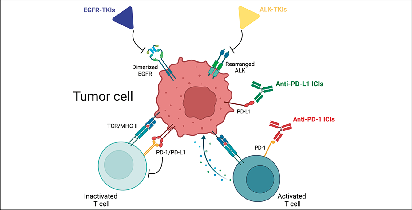 Targeted Therapy And Immunotherapy In Early Stage Non Small Cell Lung